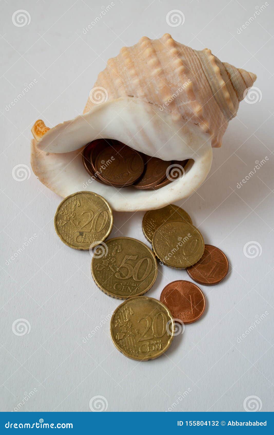 Euro Coins, Money in the Sea Shell Stock Photo - Image of cash, cashier ...
