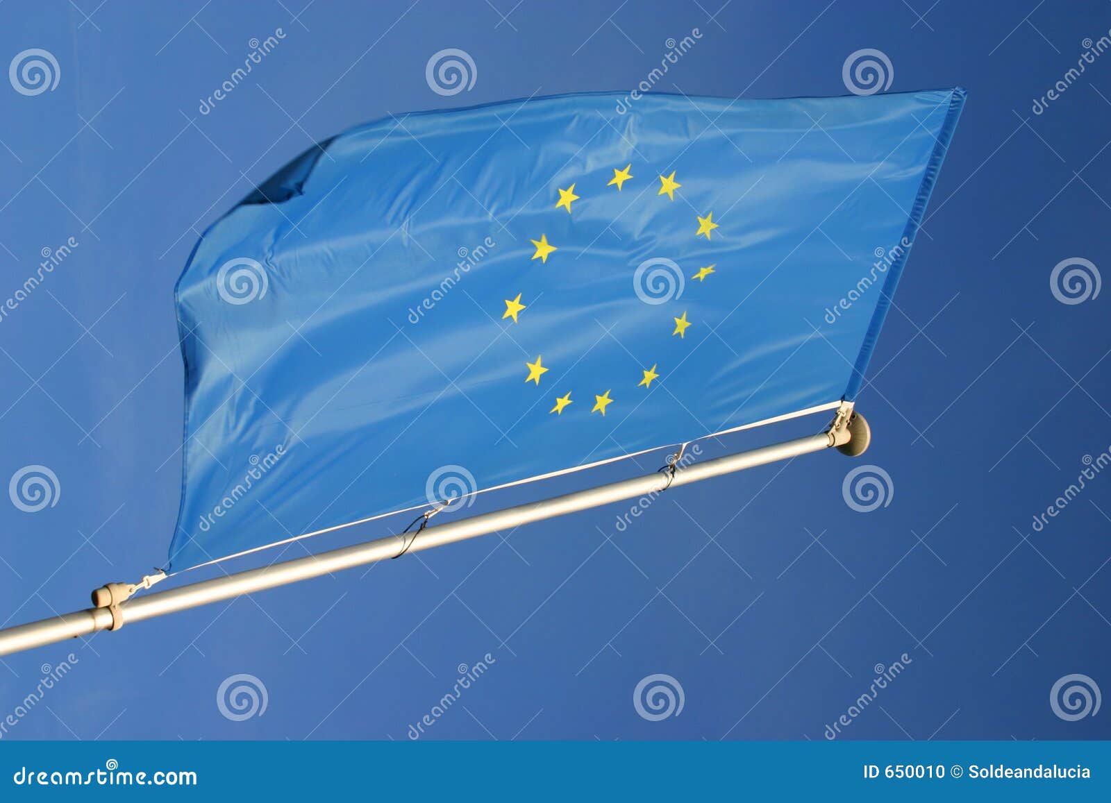 Euro flag stock photo. Image of nationality, countries - 650010