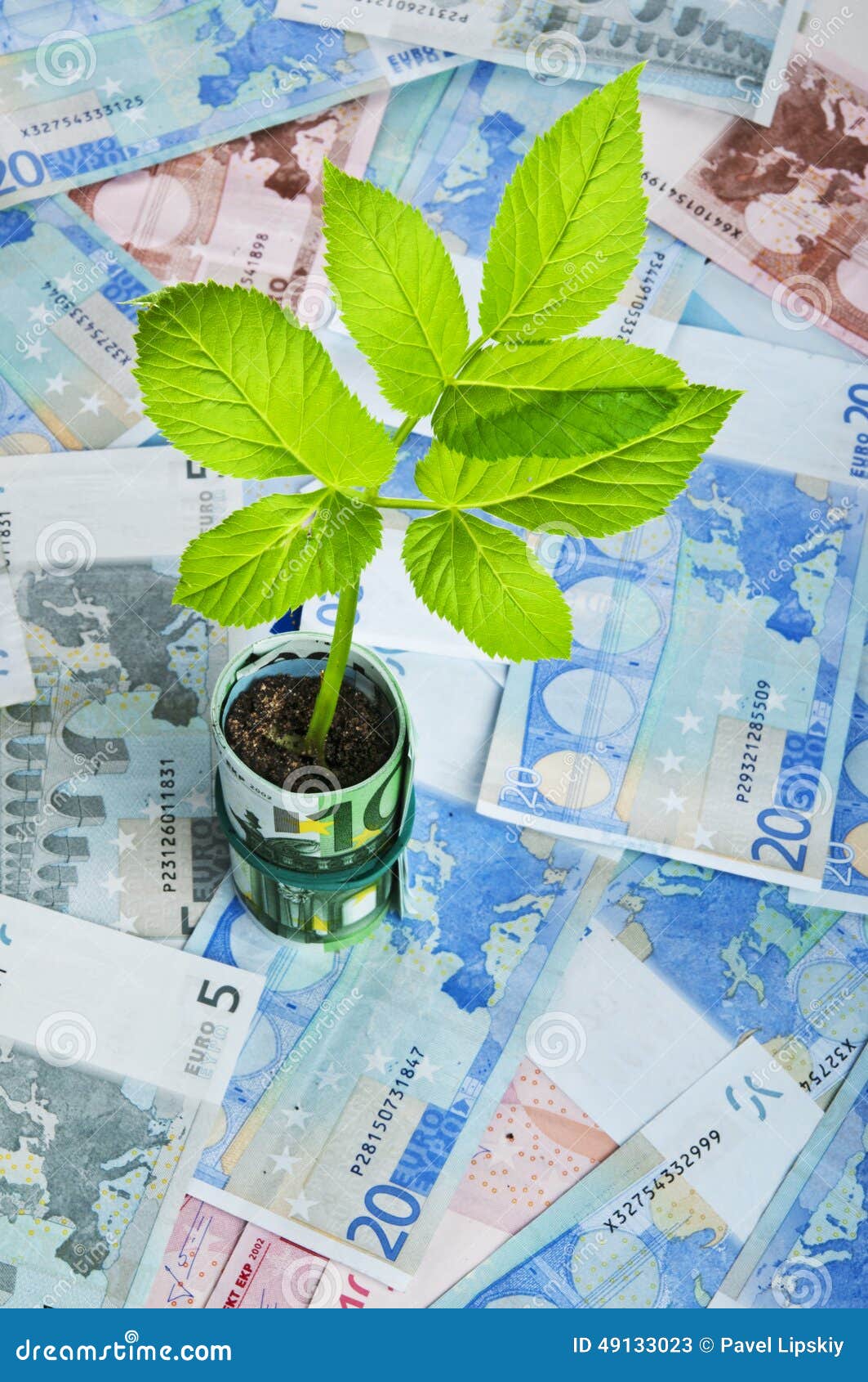 Euro and green plant stock image. Image of earnings, investment - 49133023