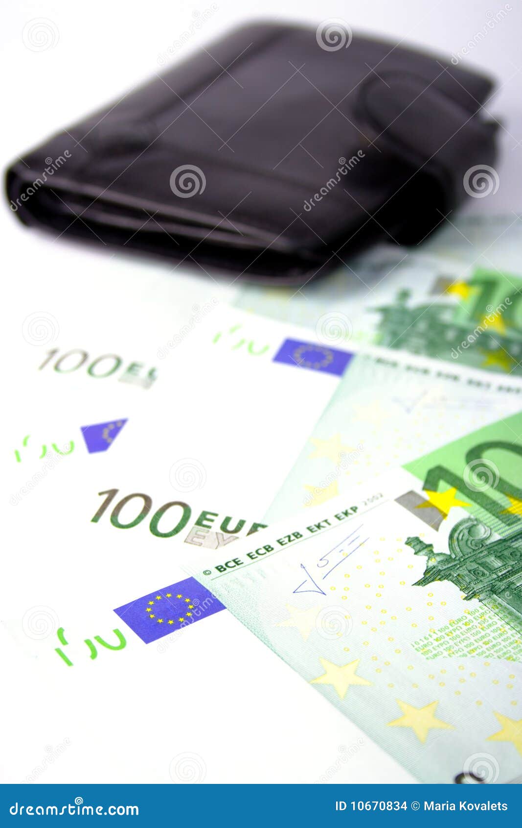 Euro and a leather purse stock photo. Image of invest - 10670834