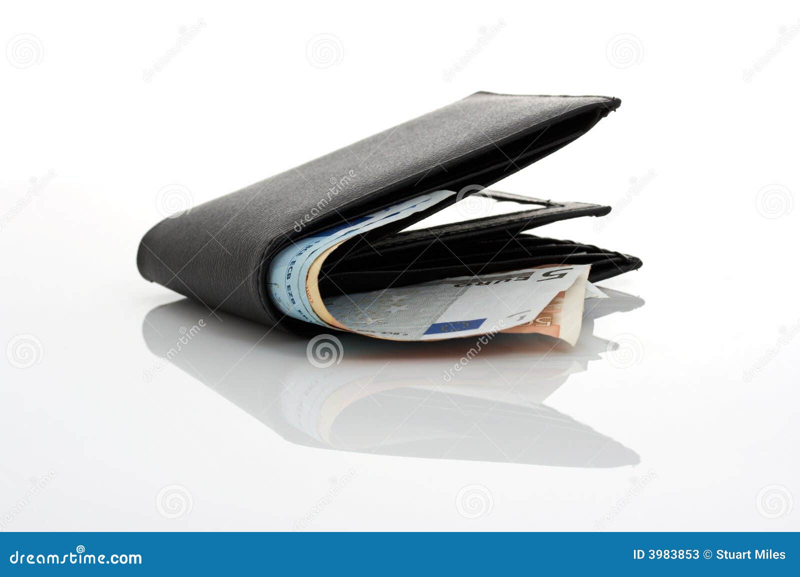 Euro and wallet stock image. Image of rich, europe, leather - 3983853