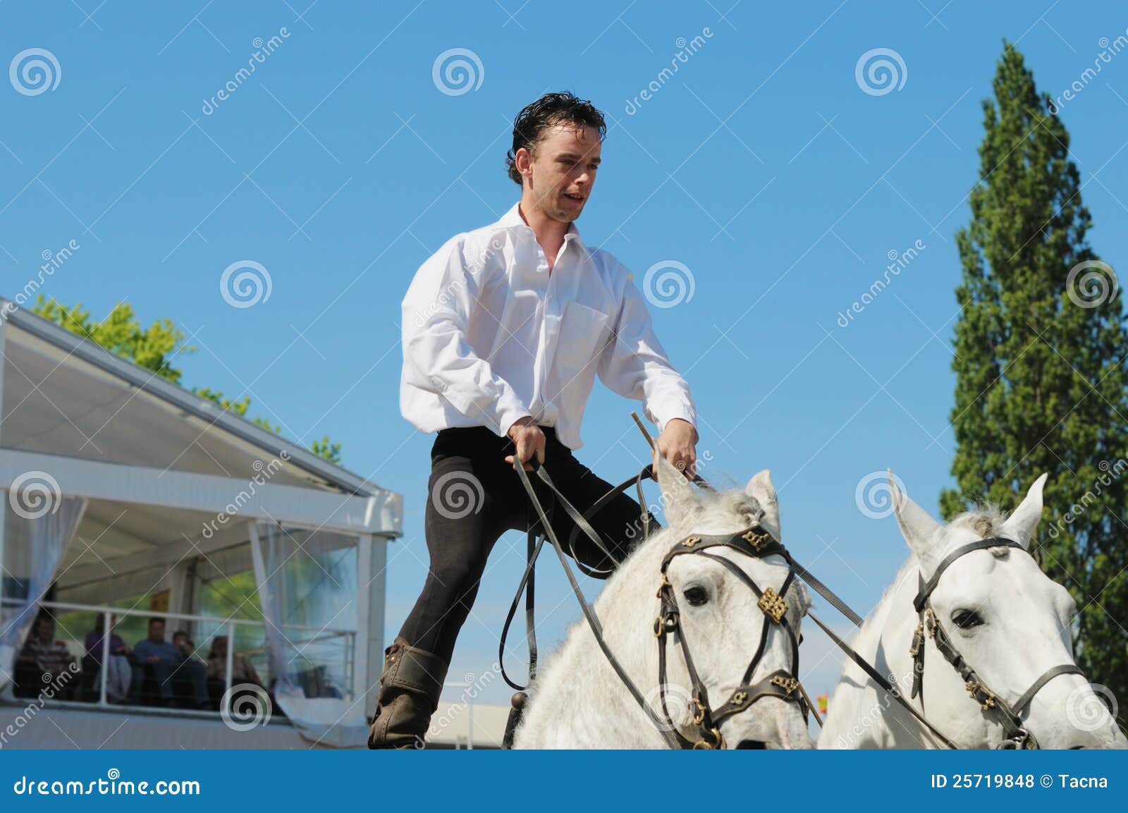 EuroFeria Andaluza editorial stock photo. Image of attraction - 25719848