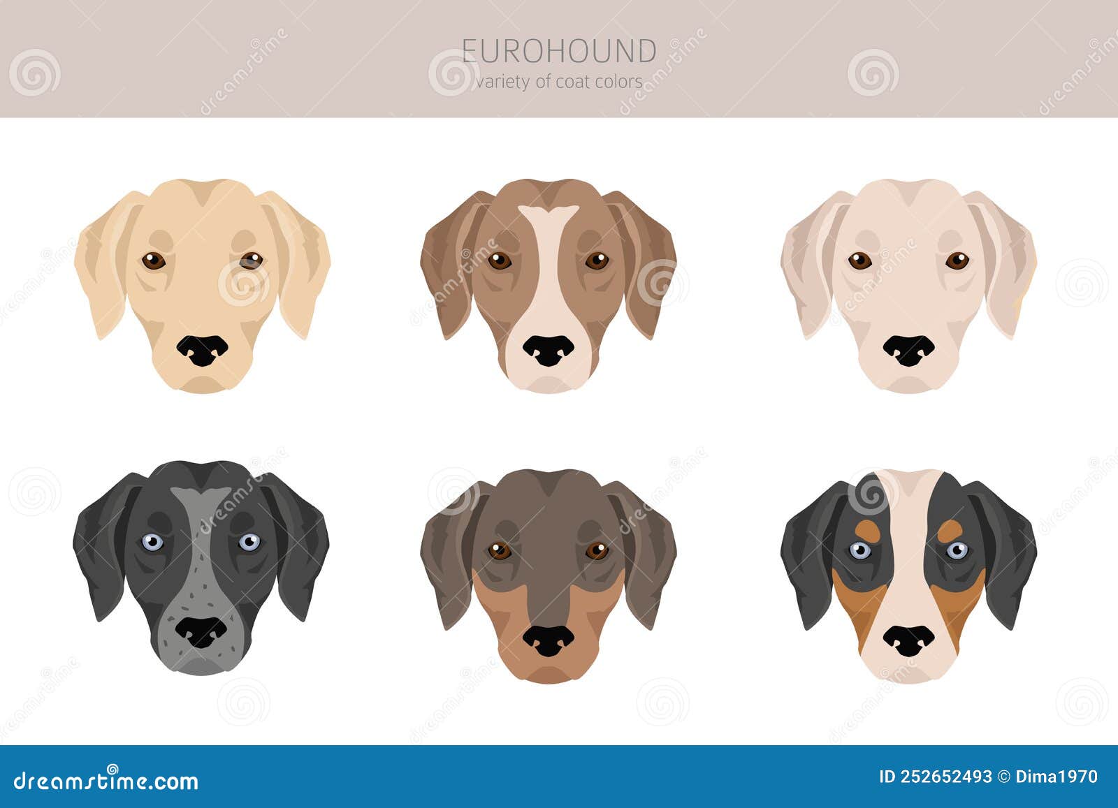 Eurohound Clipart. Different Coat Colors Set Stock Vector ...