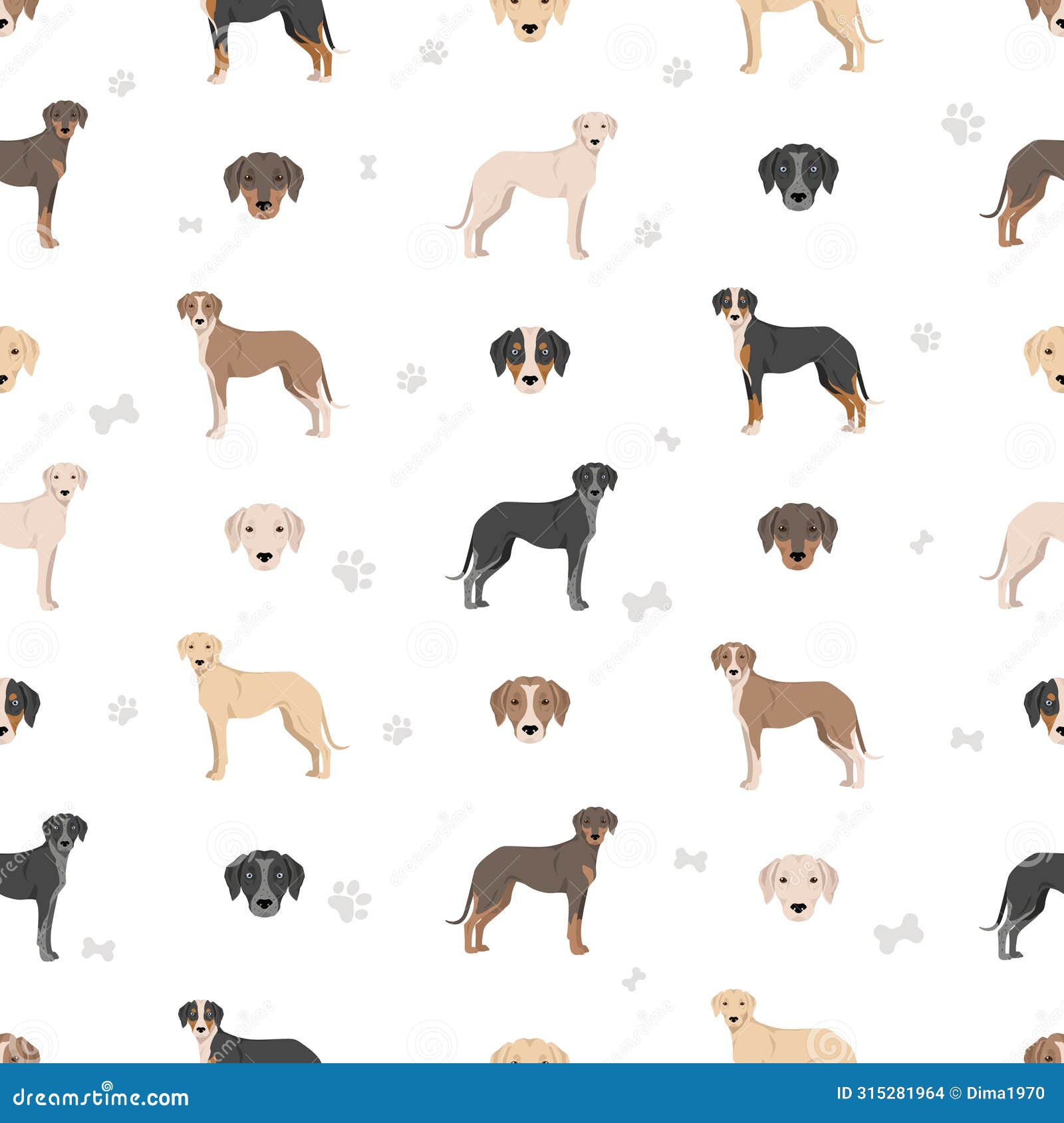 Eurohound Seamless Pattern. Different Coat Colors Set Stock Vector ...