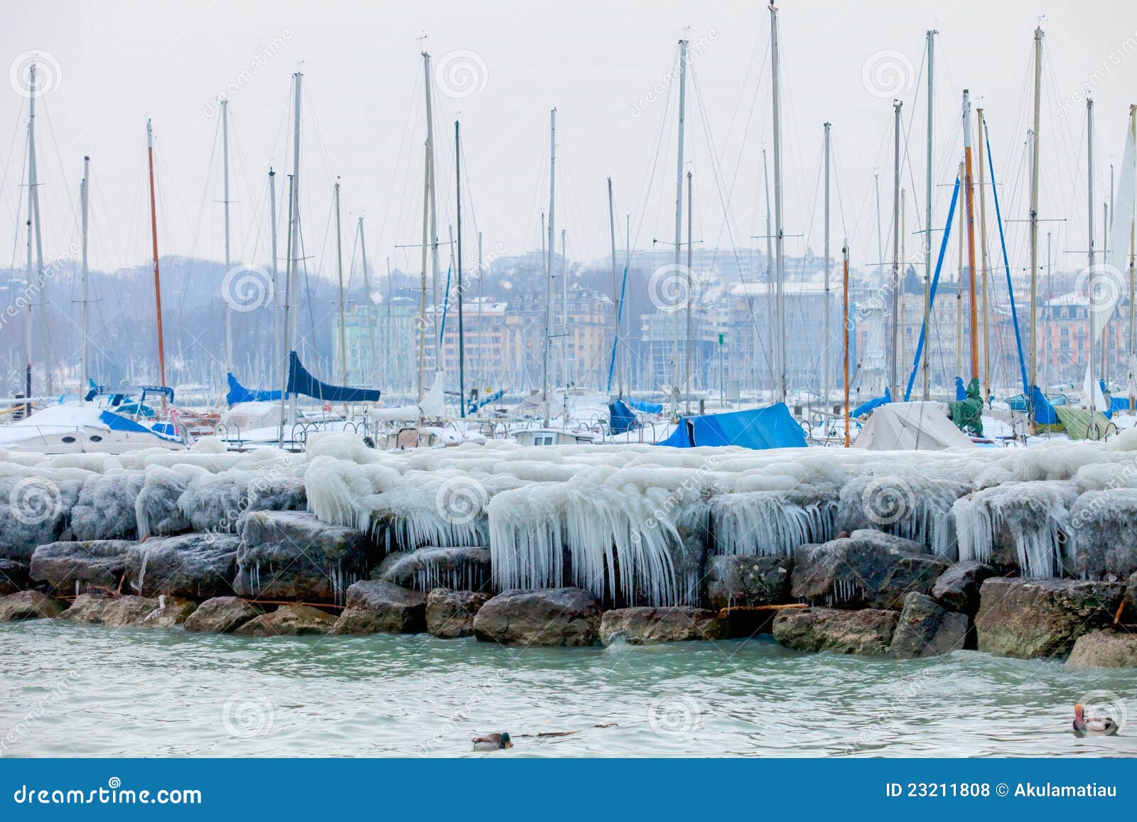 Europe 2012 Cold Snap editorial stock photo. Image of sink - 23211808