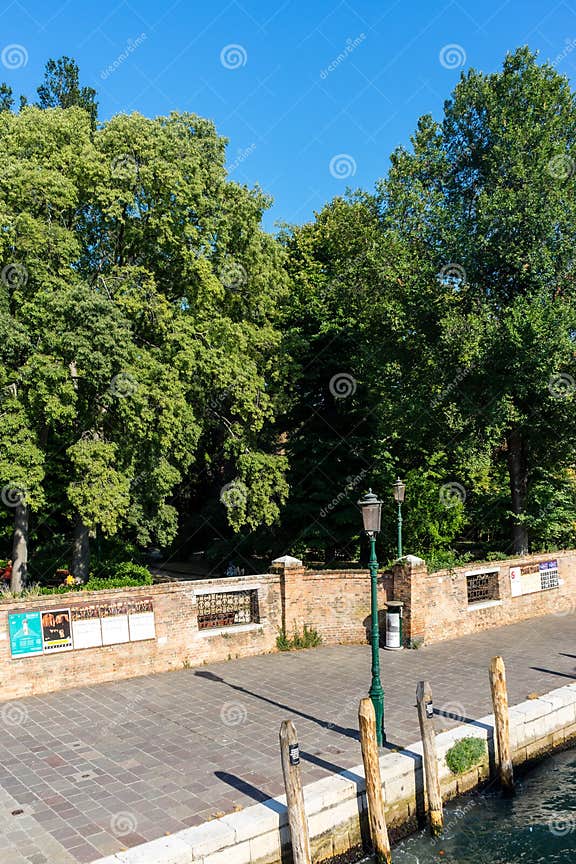 Italy, Venice, a Tree in a Park Stock Photo - Image of structure ...