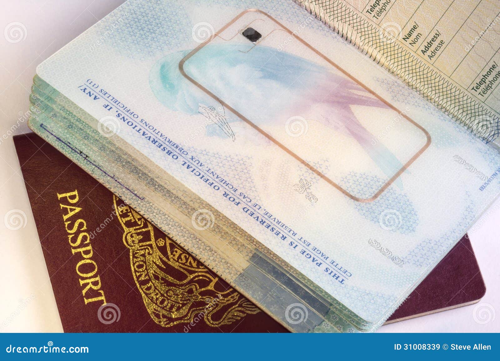 International Biometric Passports Of A Citizen Of The Russian