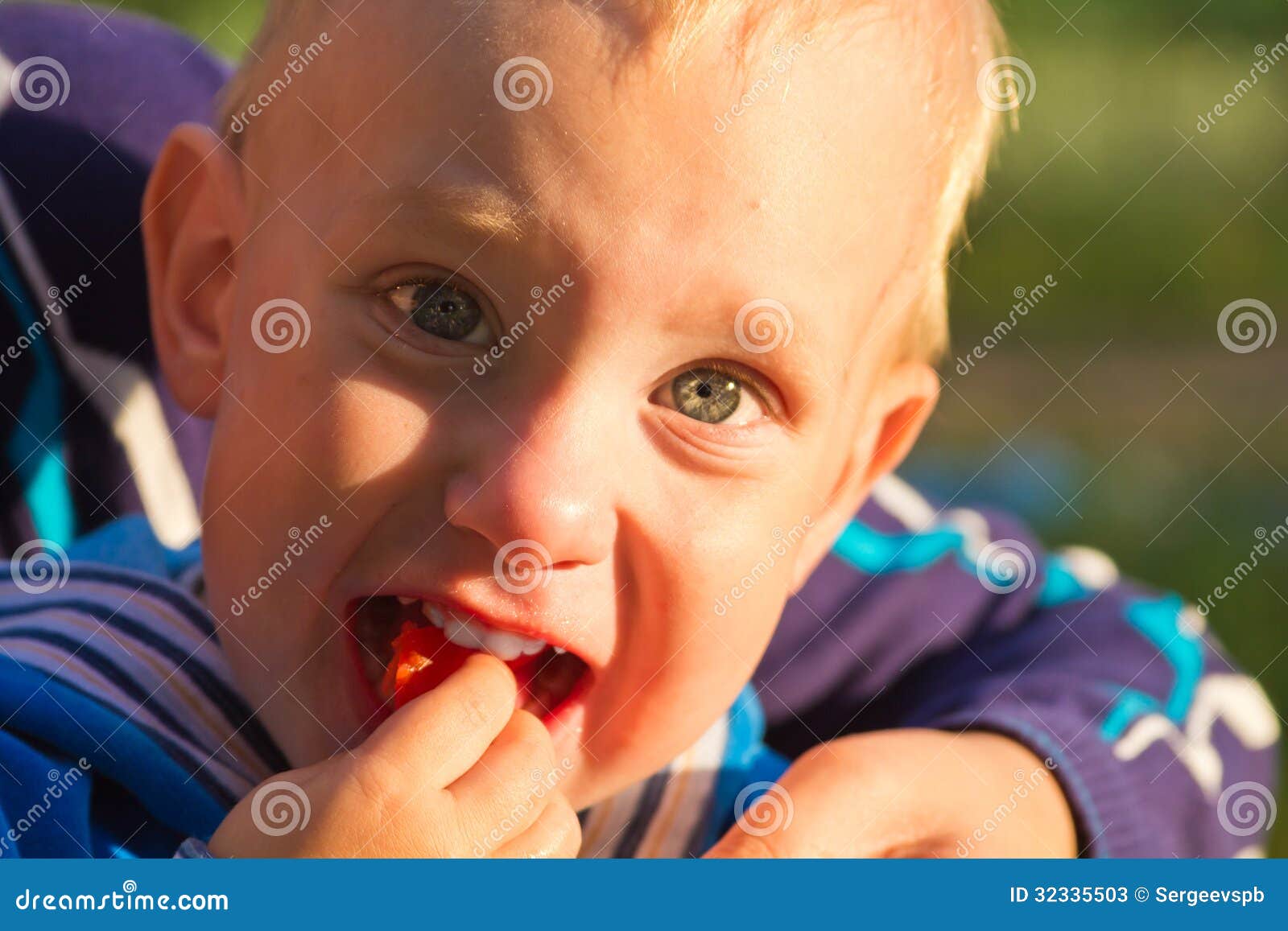 European boy in nature stock image. Image of portrait - 32335503