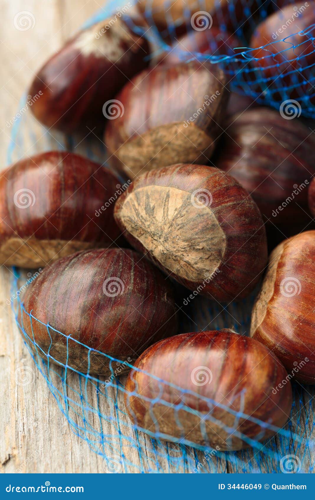 European chestnuts stock image. Image of fruit, sale - 34446049