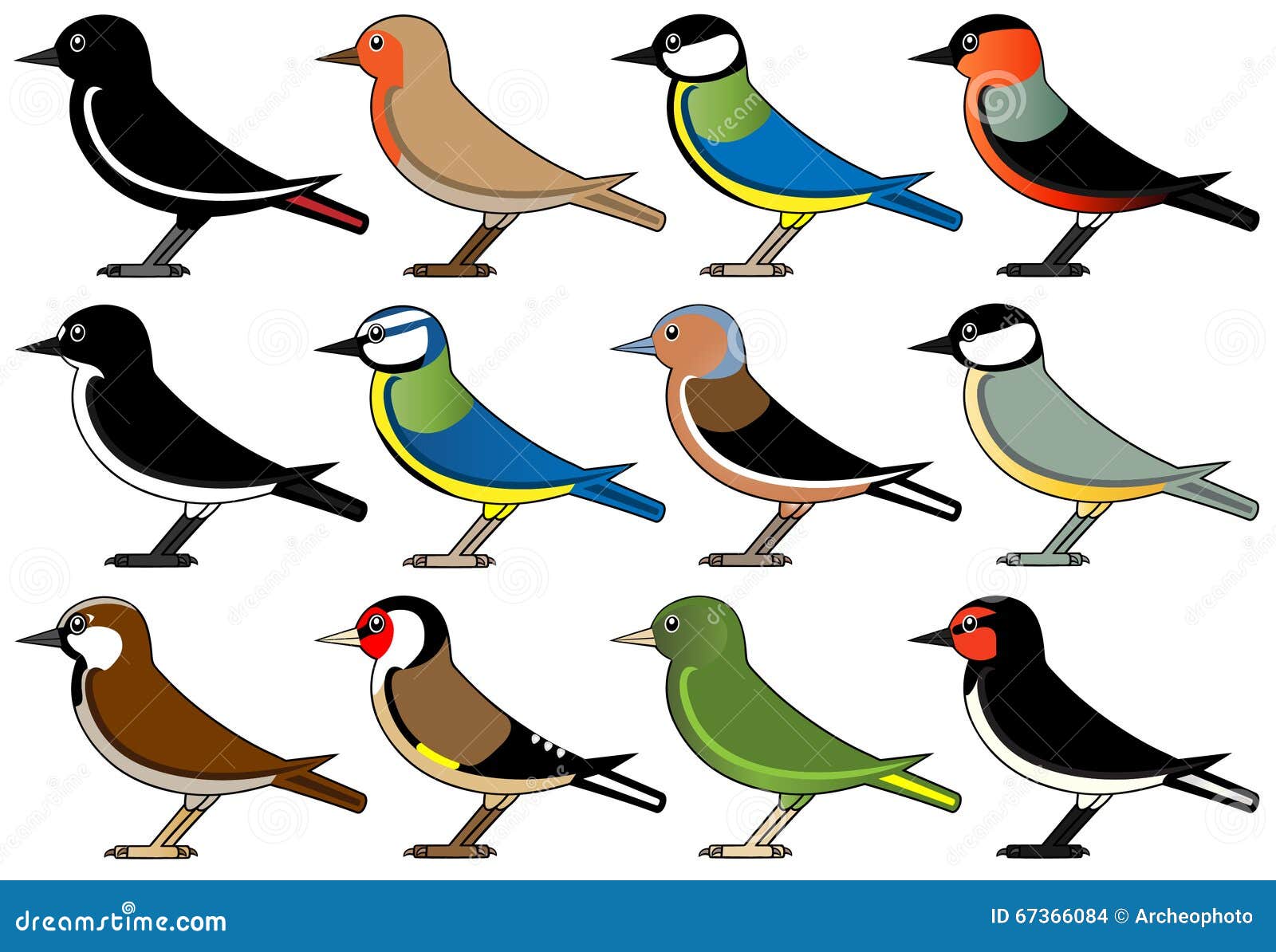 European common birds stock vector. Illustration of domesticus - 67366084
