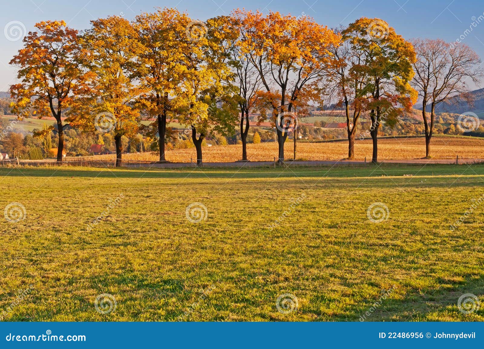 European Countryside stock photo. Image of bush, fields - 22486956