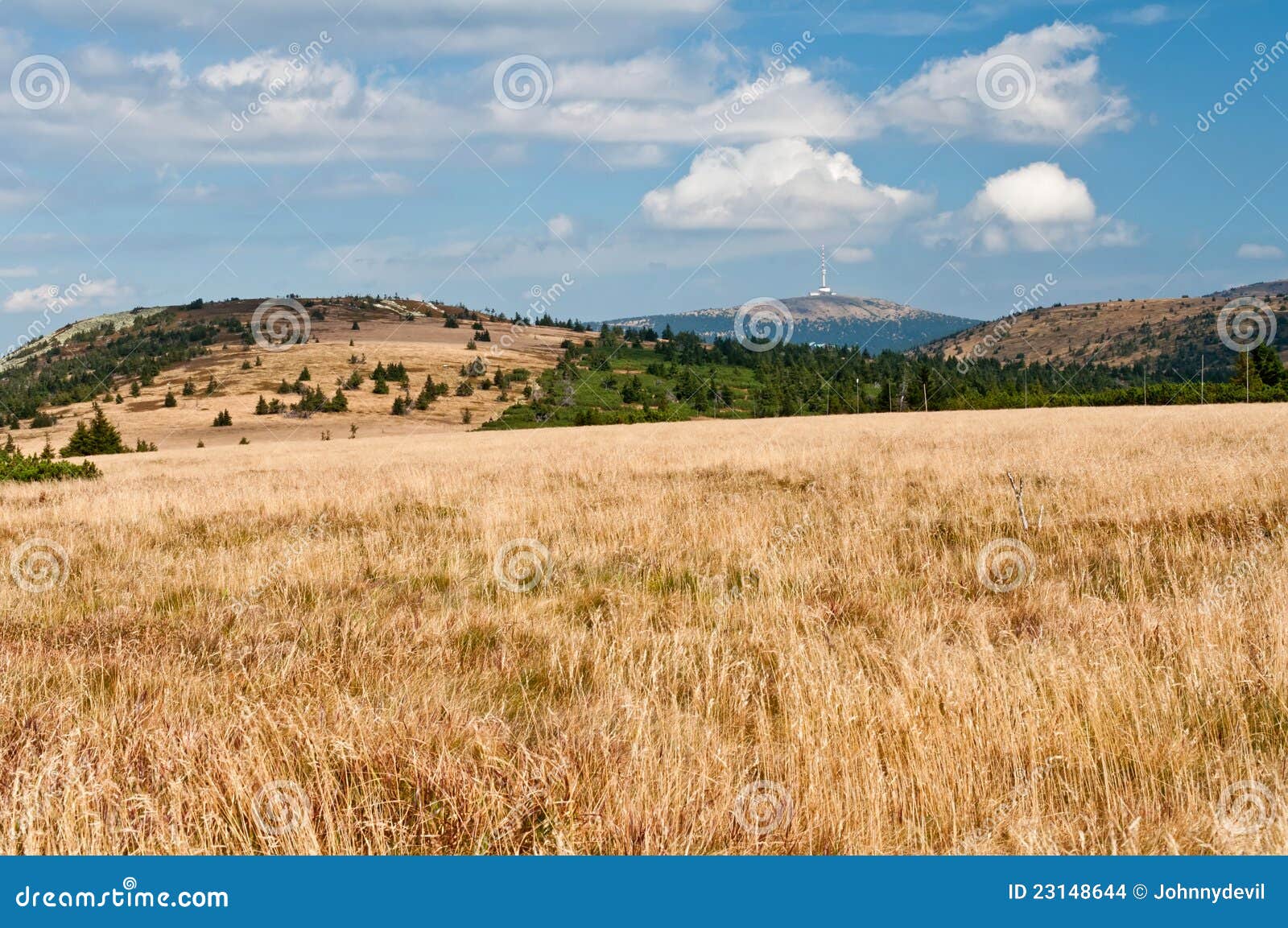 European Countryside stock photo. Image of heather, abstract - 23148644