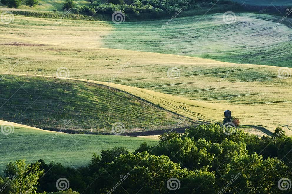 European Countryside stock image. Image of field, nature - 25217685