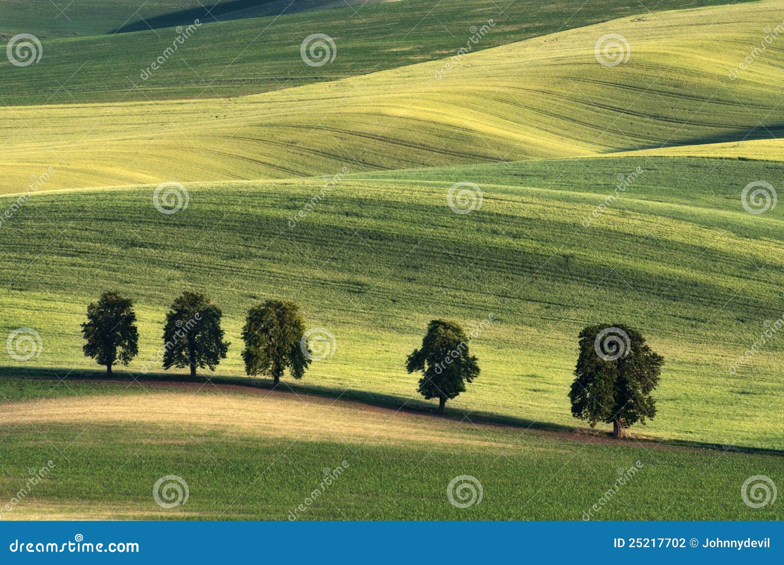 European Countryside stock photo. Image of field, exterior - 25217702