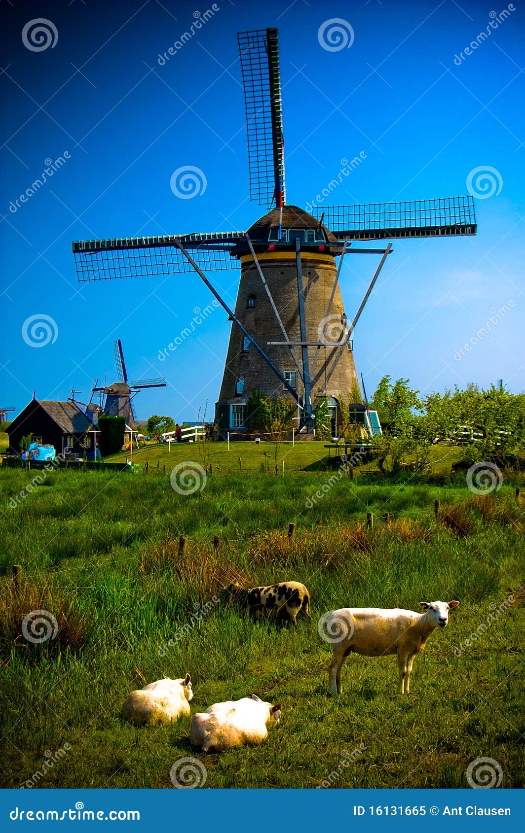 European Countryside View with Windmill and Canal Stock Image - Image ...