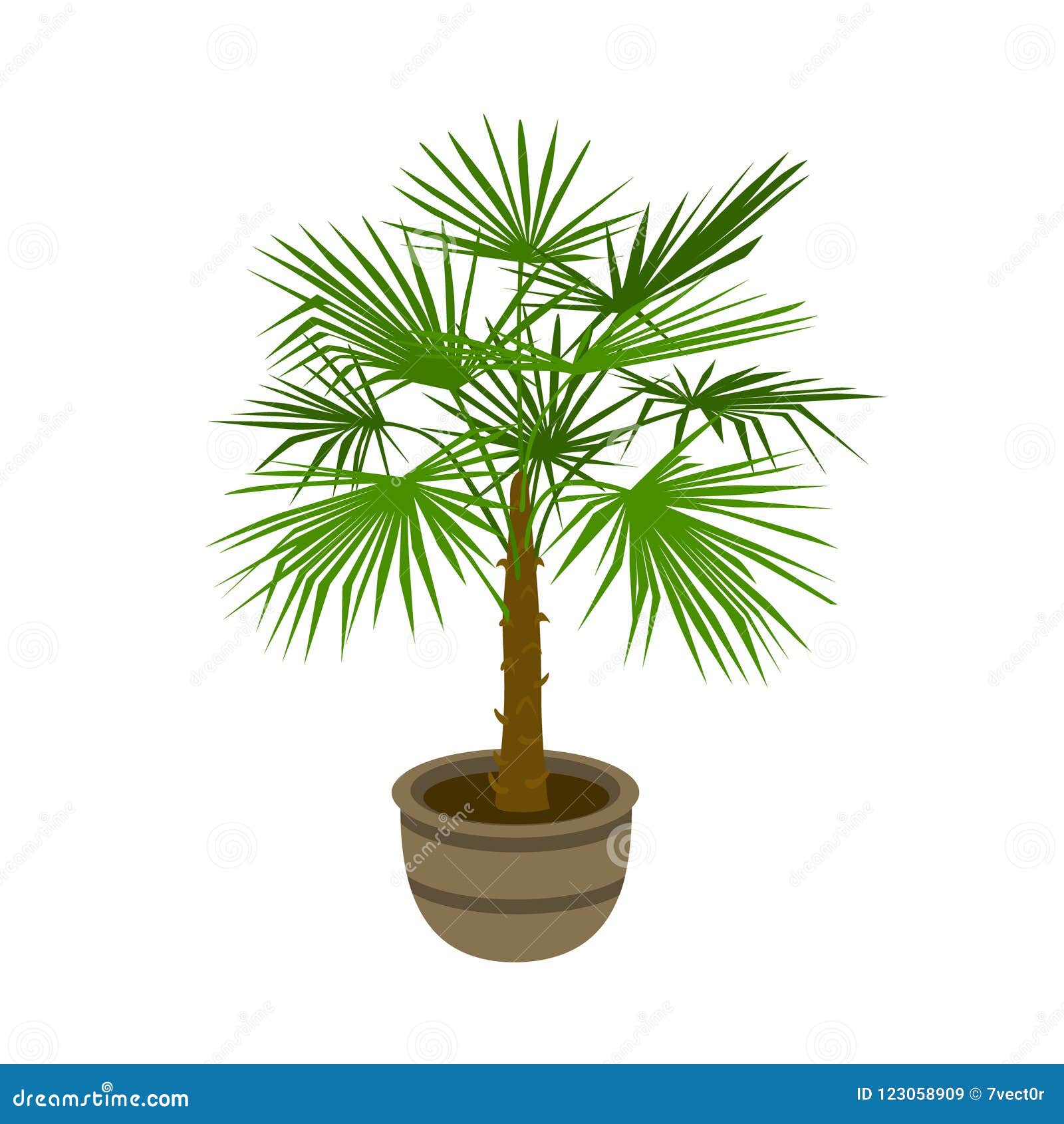 European Fan Palm Isolated Vector Stock Vector - Illustration of ...