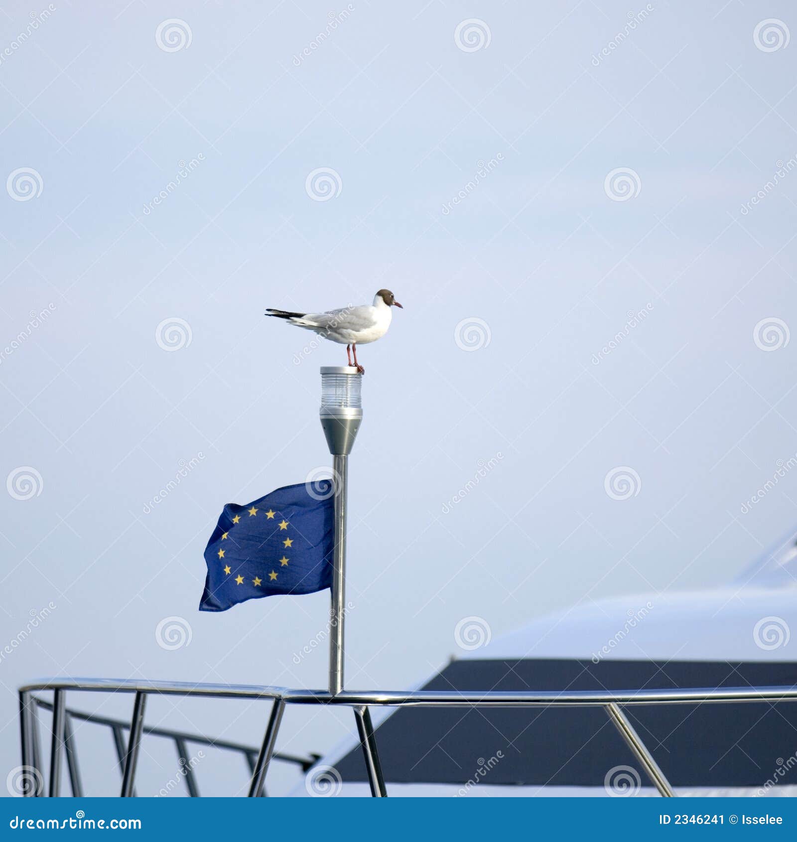 European flag stock image. Image of europe, european, bird - 2346241
