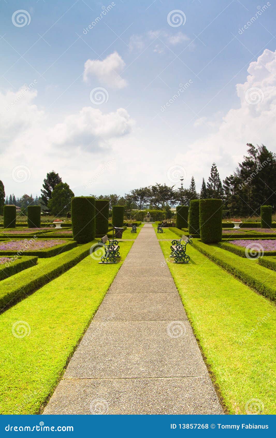 European Garden stock photo. Image of green, clean, geometric - 13857268