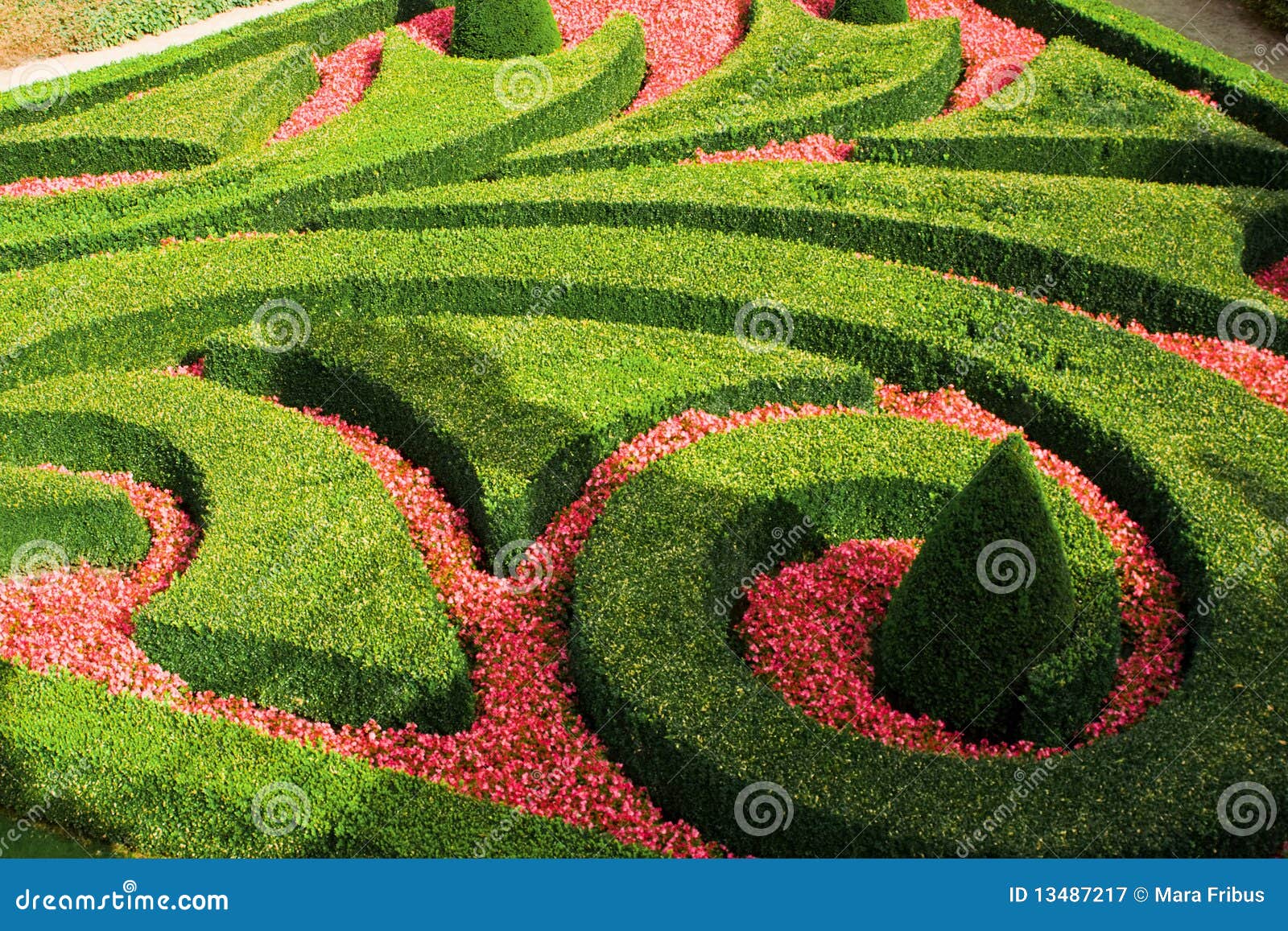 Beautiful Maze Stock Image | CartoonDealer.com #63570127
