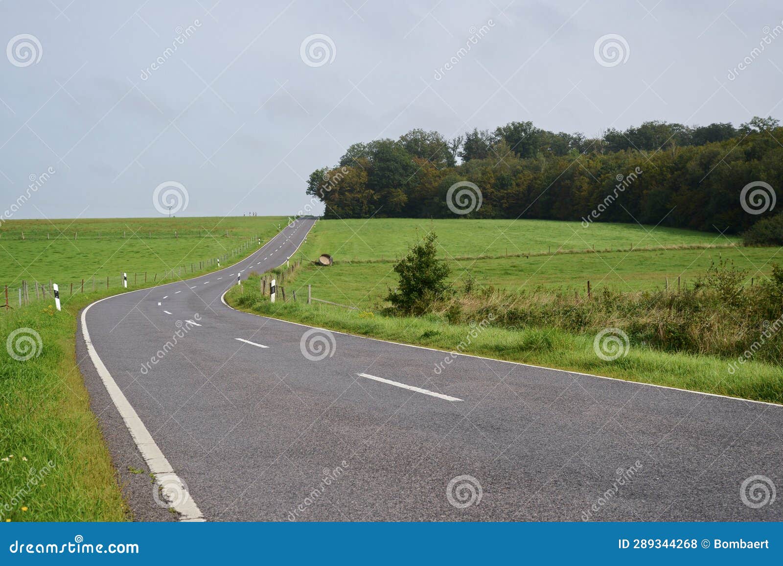 European Road in Perspective in Countryside Stock Photo - Image of ...