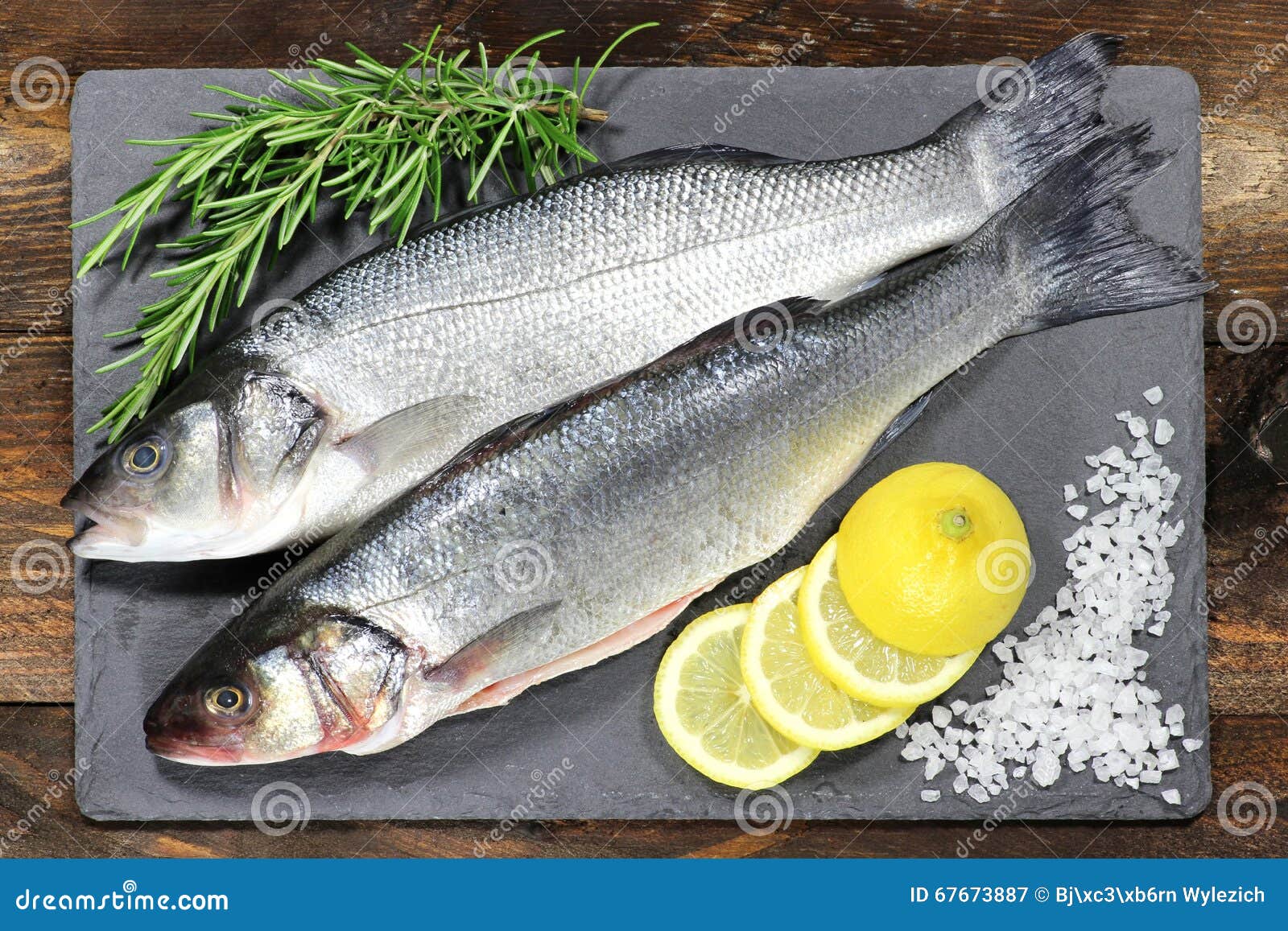European seabass stock image. Image of edible, food, fresh - 67673887