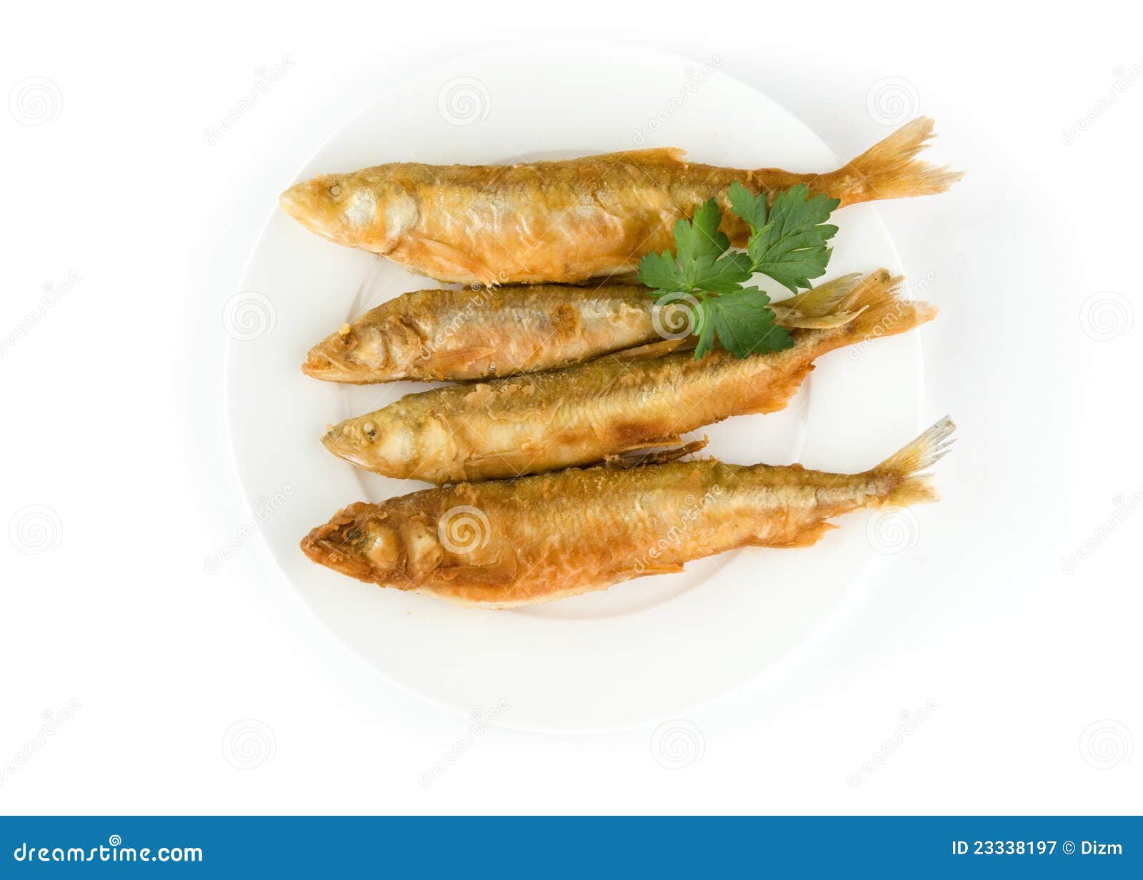 European smelt stock image. Image of eperlanus, white - 23338197