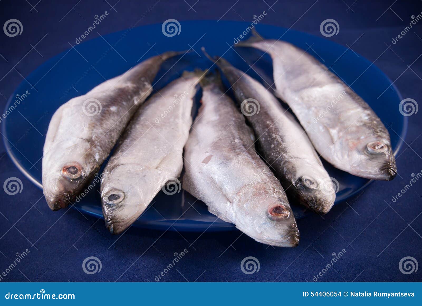 European sprats stock photo. Image of seafood, plate - 54406054