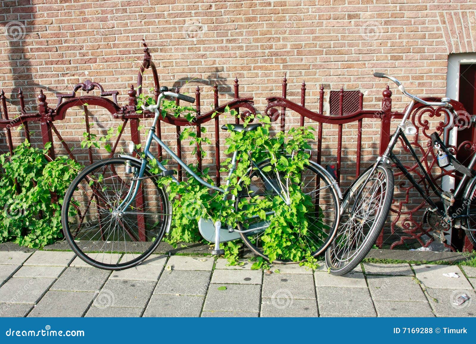 European-style bikes stock photo. Image of antique, group - 7169288
