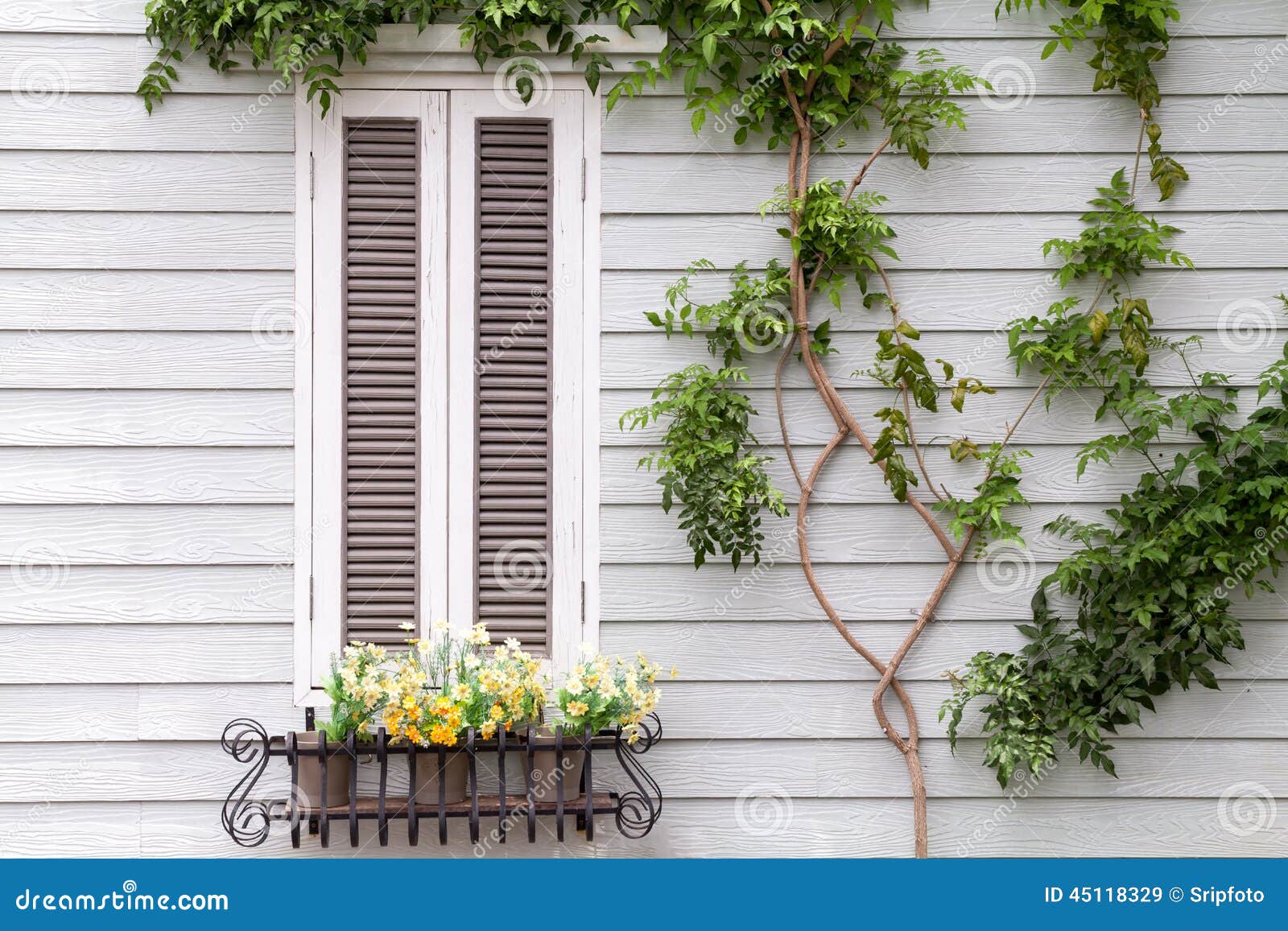 European Style Window and Flower Stock Image - Image of architecture ...