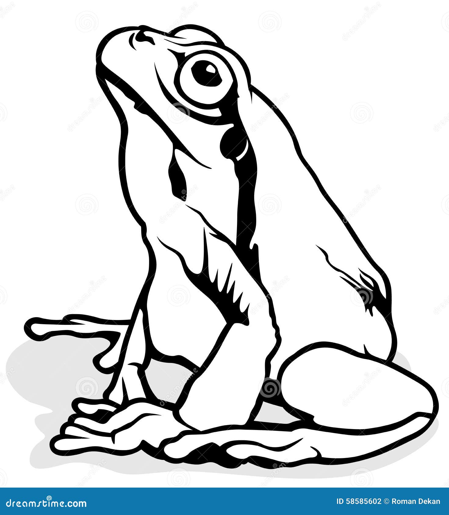 European Tree Frog stock vector. Illustration of drawing - 58585602