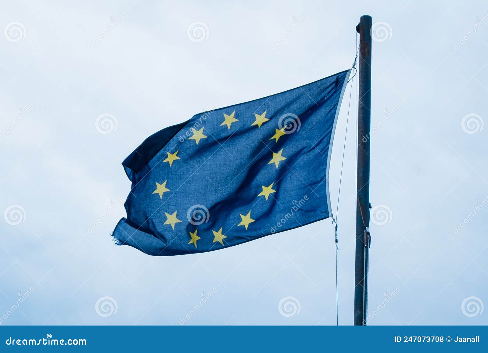European Union Flag Waving in Wind Stock Photo - Image of area, culture ...