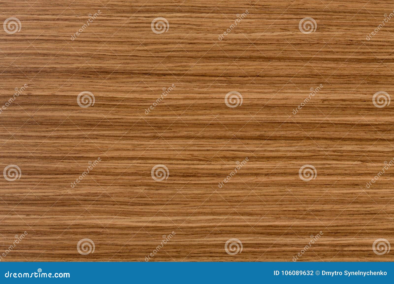 European Walnut Texture with Natural Patterns. Stock Photo - Image of ...