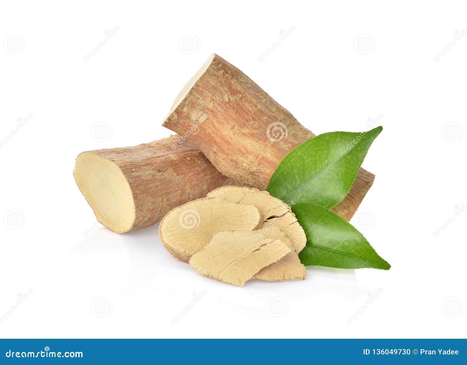 Eurycoma Longifolia Jack Commonly Known As Tongkat Ali Stock Photo ...