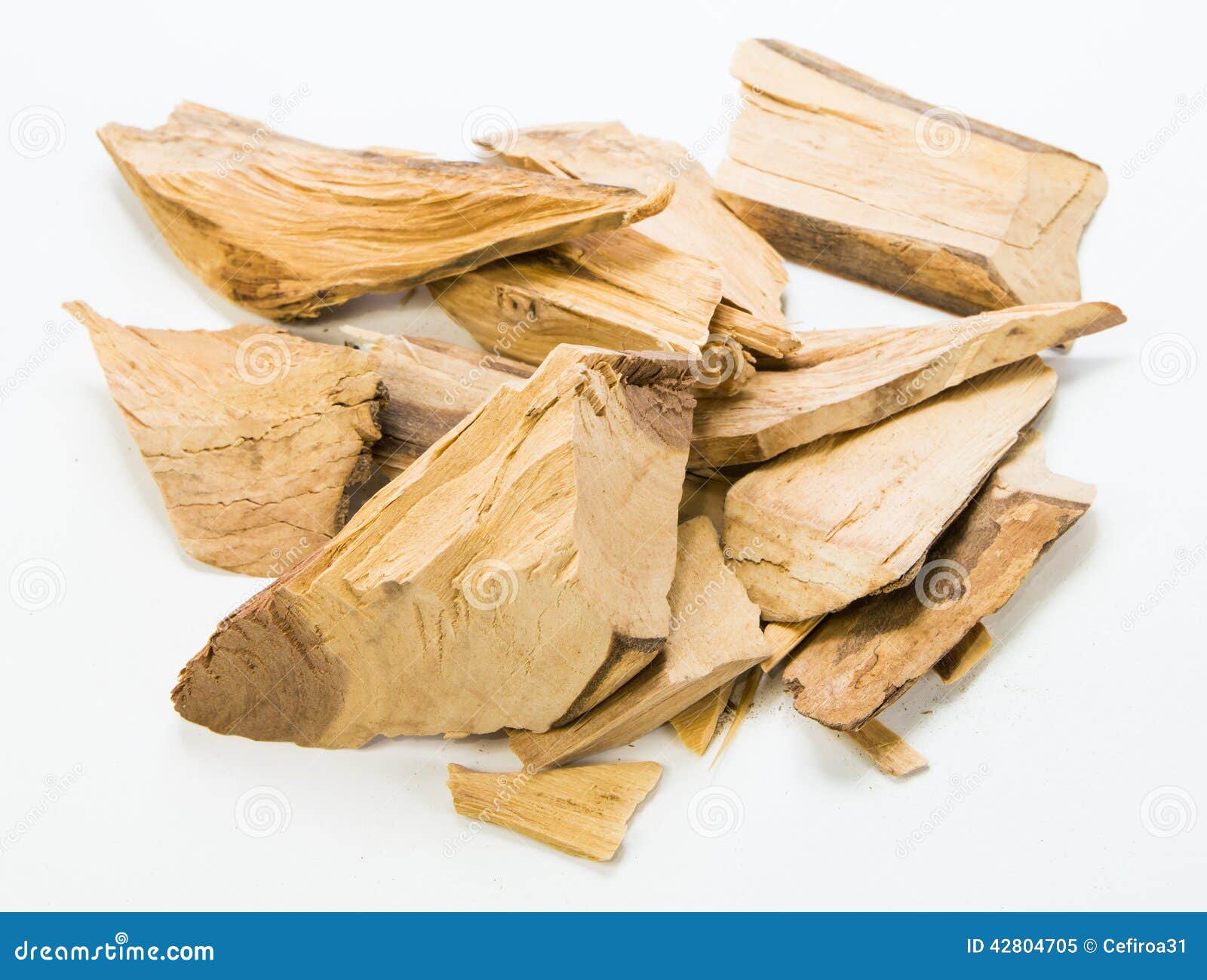 Eurycoma Longifolia Jack Commonly Known As Tongkat Ali Royalty-Free ...