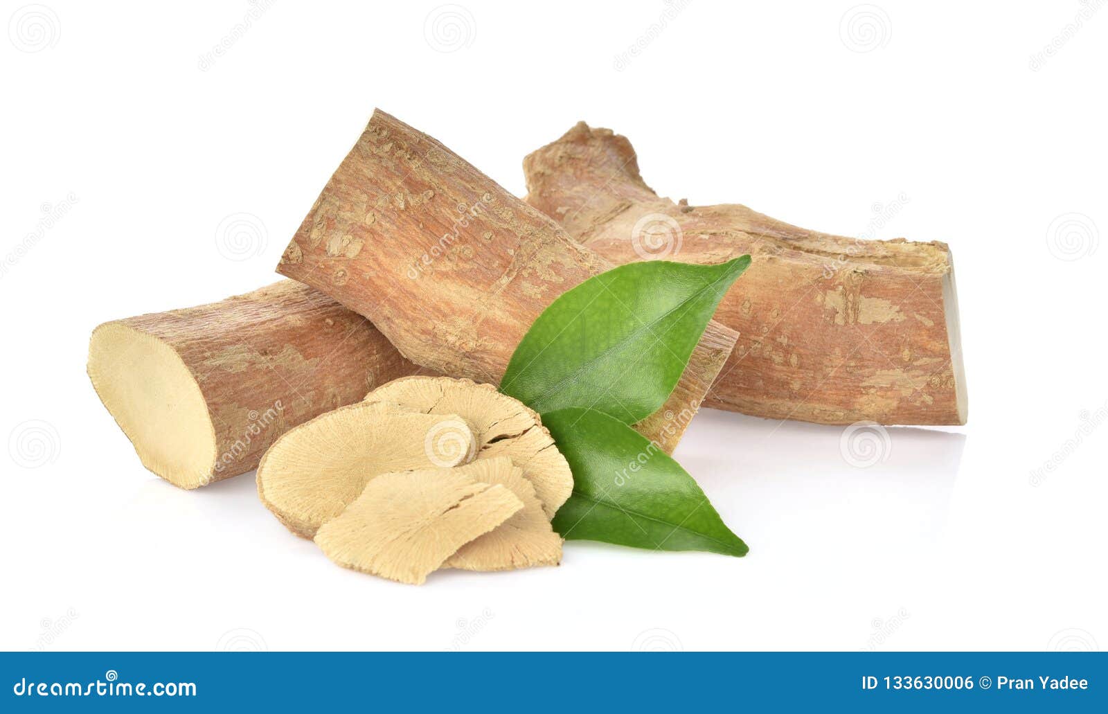 Eurycoma Longifolia Jack Commonly Known As Tongkat Ali Royalty-Free ...