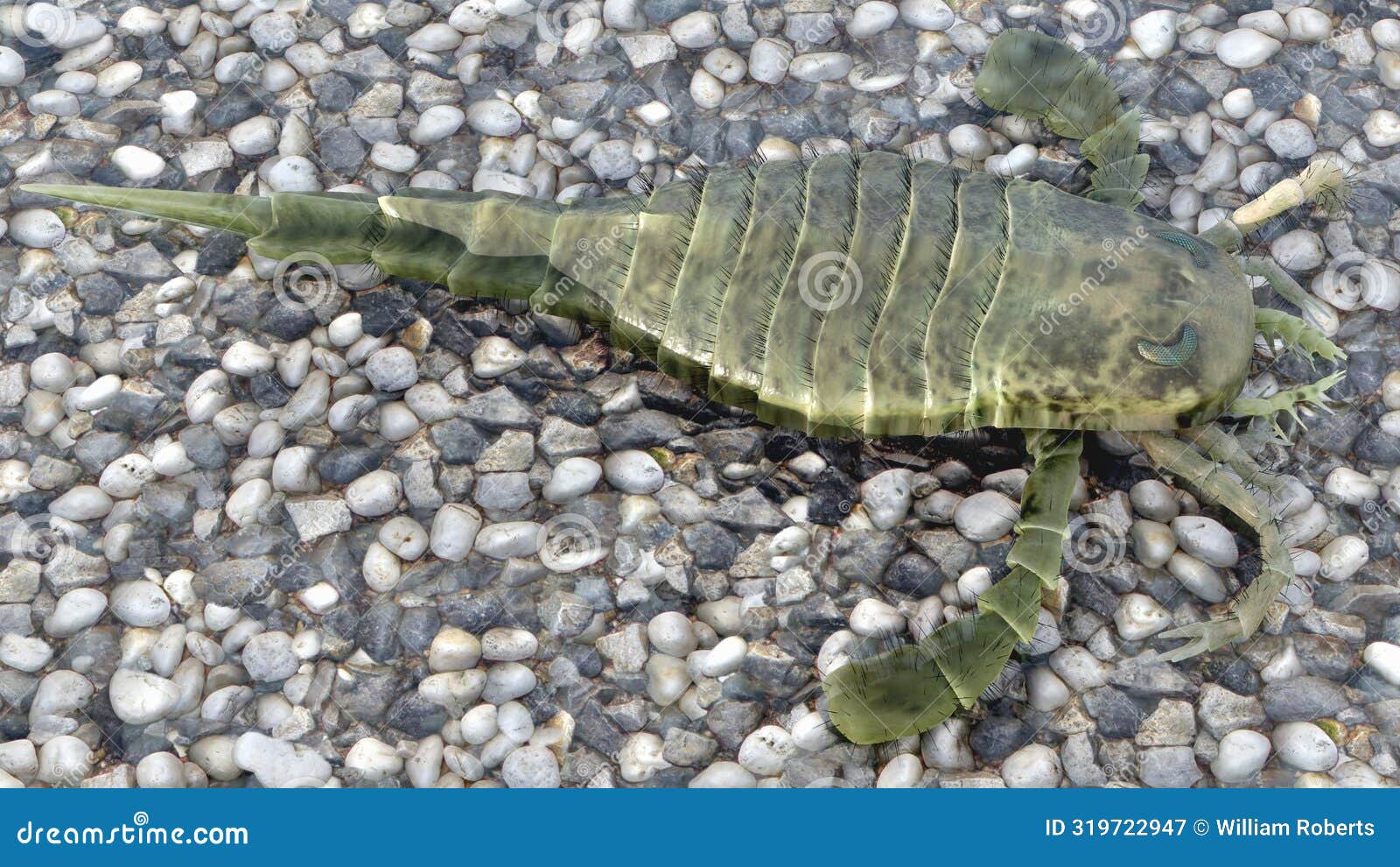 Eurypterus Remipes On A Silurian Beach Royalty-Free Illustration ...