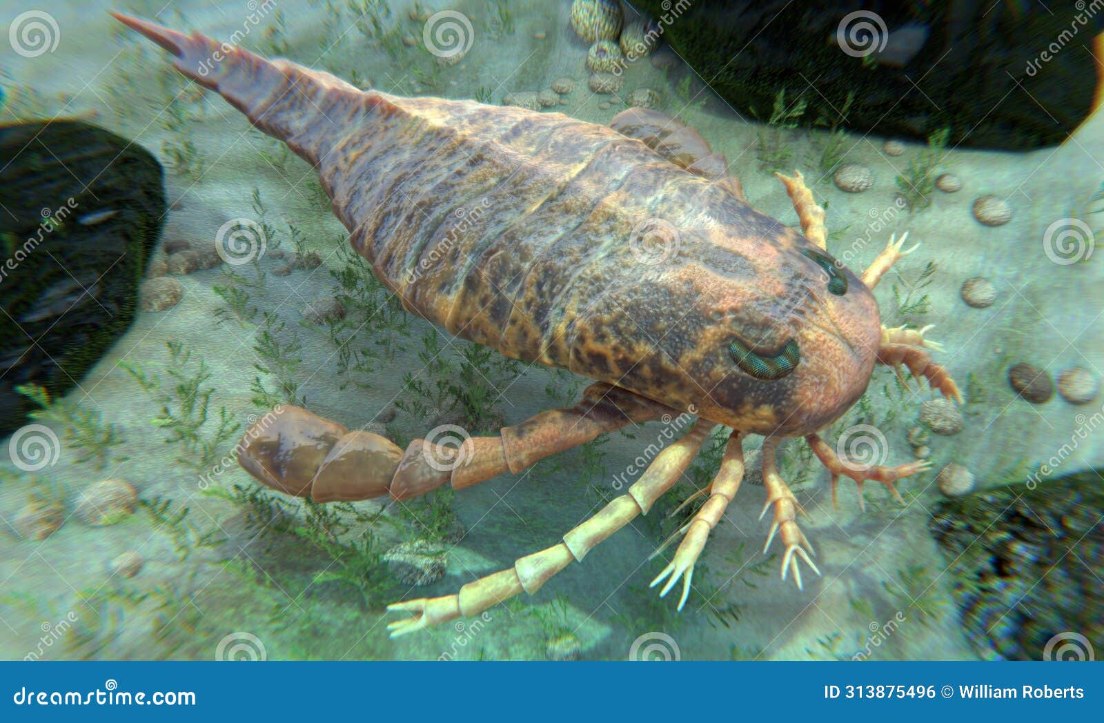 Eurypterus Remipes Illustration | CartoonDealer.com #313875496