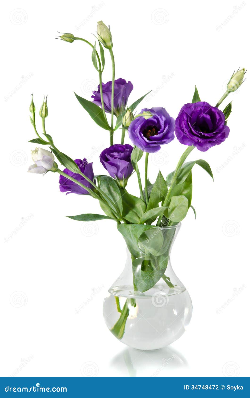 Eustoma flowers stock photo. Image of green, plant, bouquet - 34748472