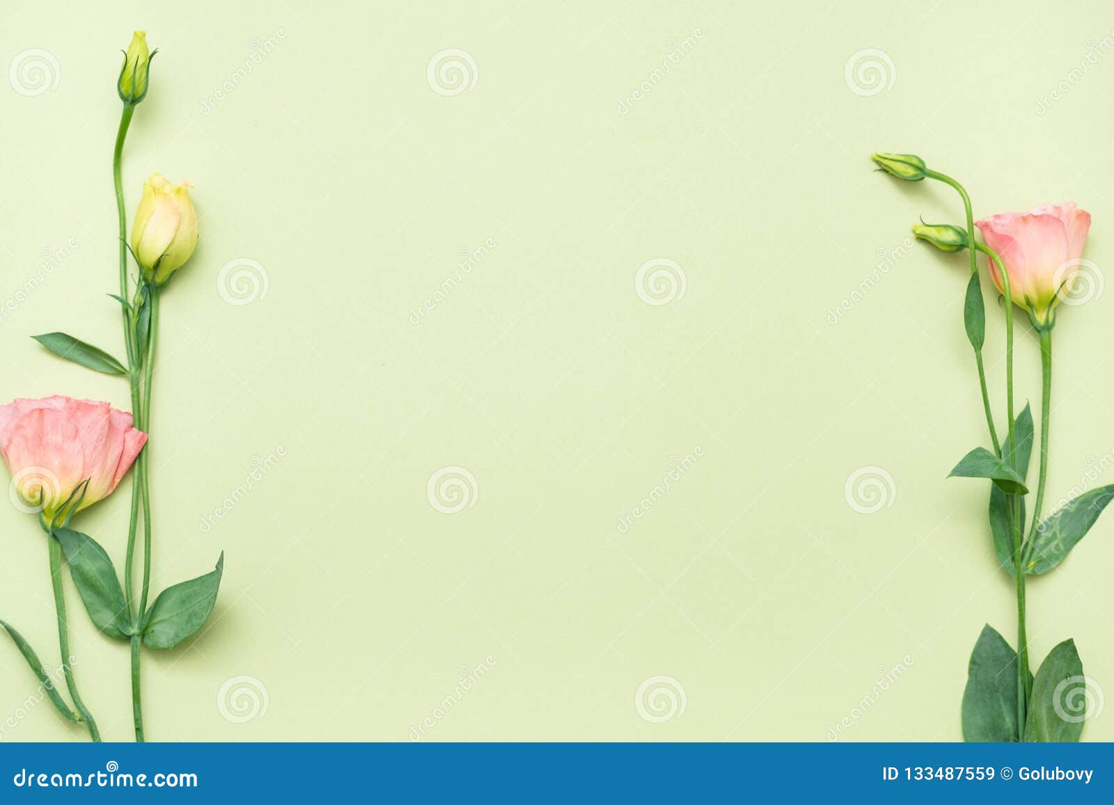 Flower Pot Layout Design Cartoon Vector | CartoonDealer.com #45713703