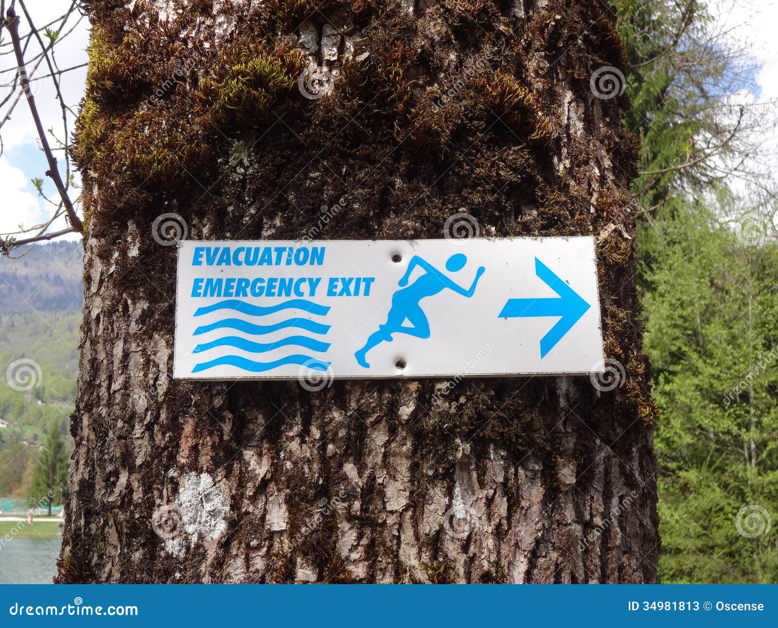 Evacuation - Emergency Exit Sign Stock Image - Image of danger, storm ...