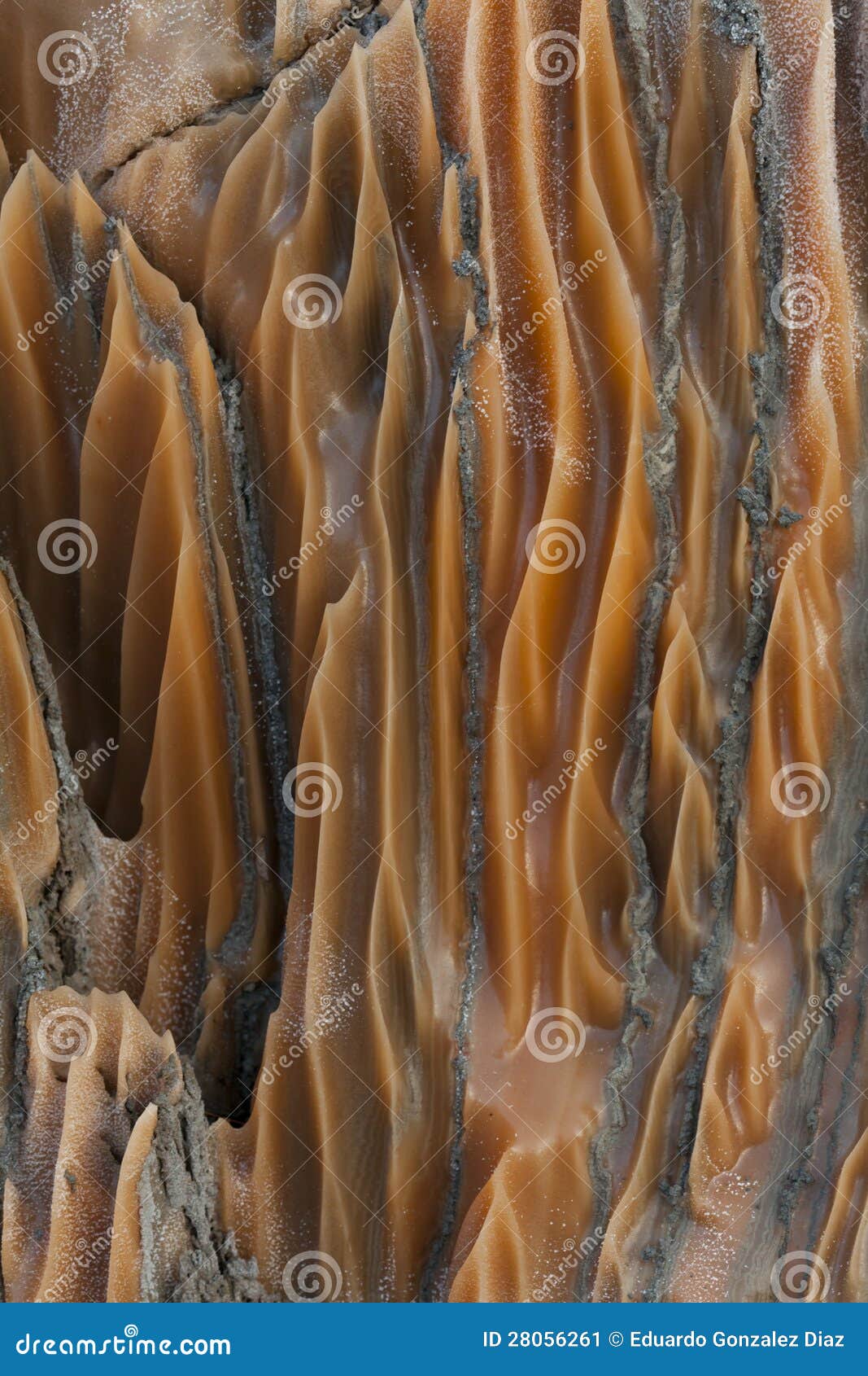 Evaporites stock image. Image of barcelona, cardona, evaporite - 28056261