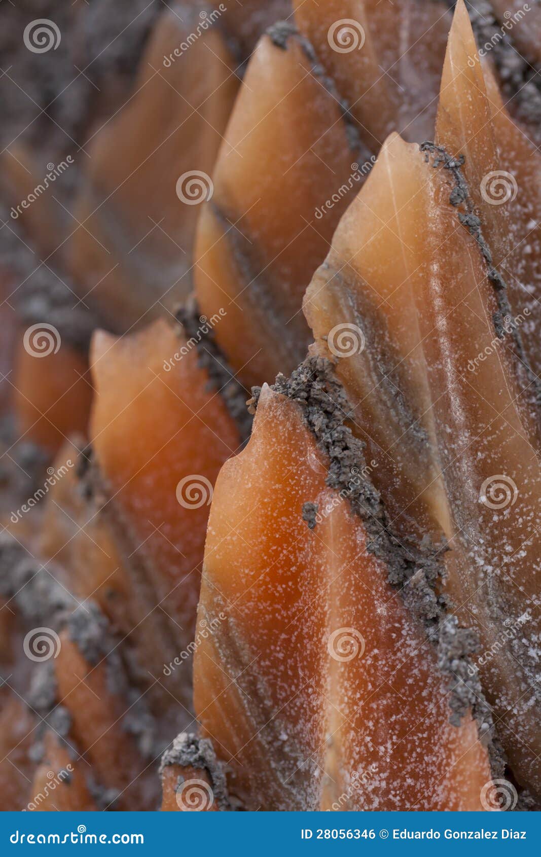 Evaporites stock photo. Image of rock, evaporites, plaster - 28056346