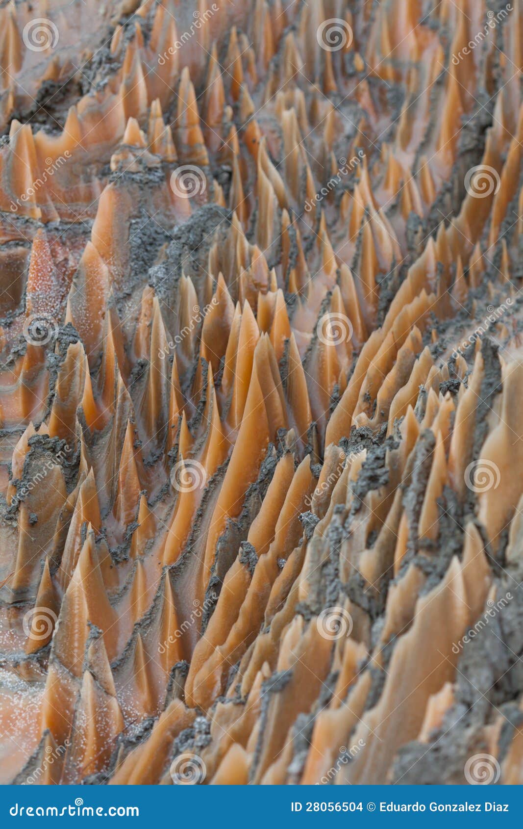 Evaporites stock photo. Image of carnallite, evaporite - 28056504