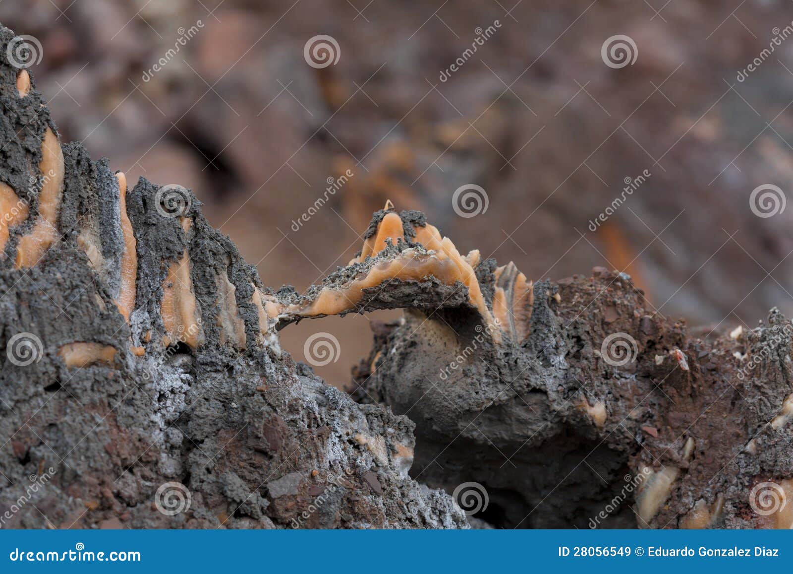 Evaporites stock image. Image of plaster, salt, halite - 28056549