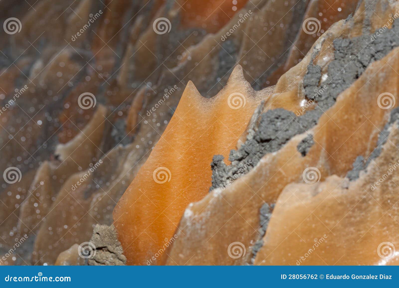 Evaporites stock photo. Image of formation, halite, sylvite - 28056762