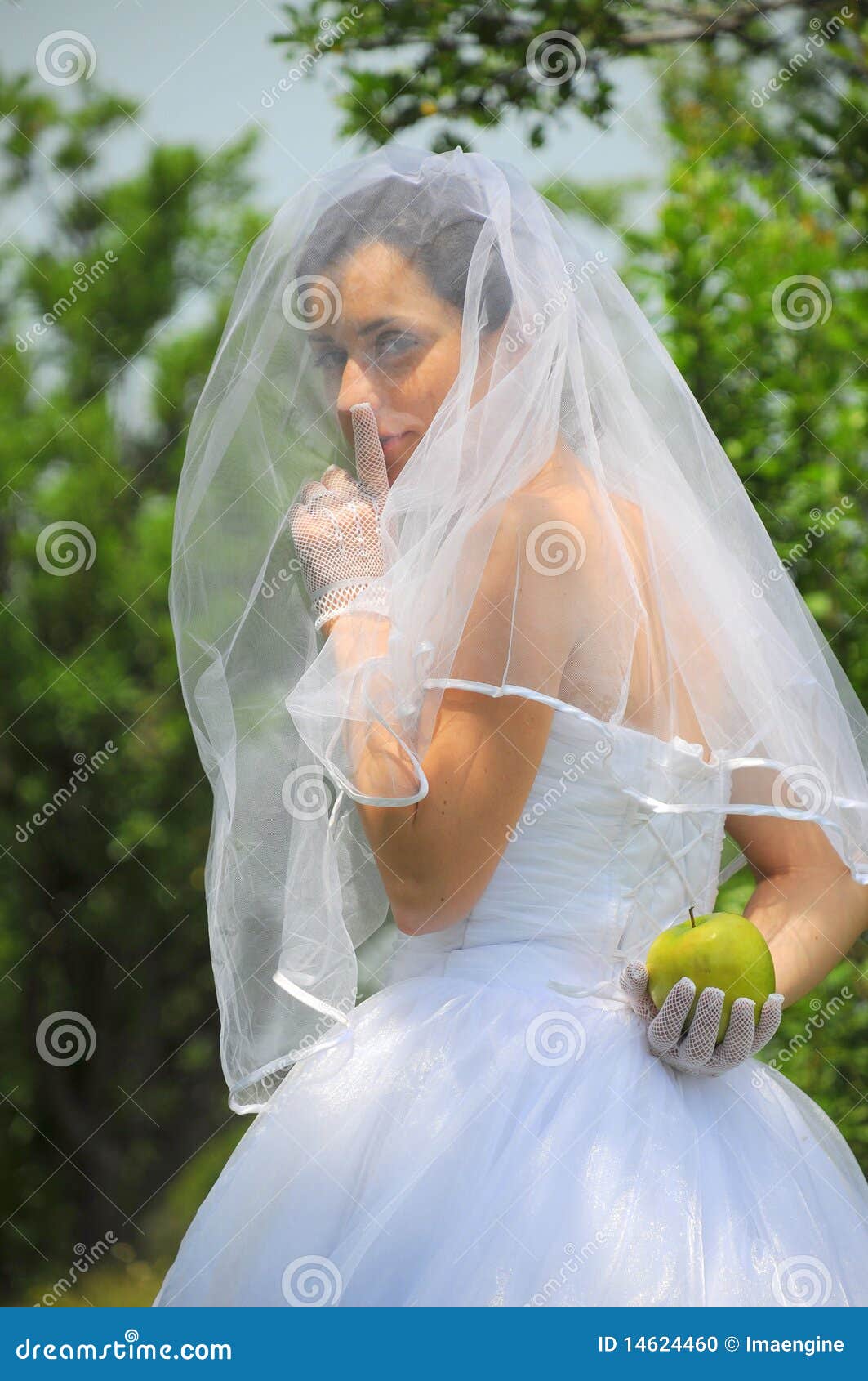 Eves Secret (bride Portrait) Stock Photo - Image of field, apple: 14624460