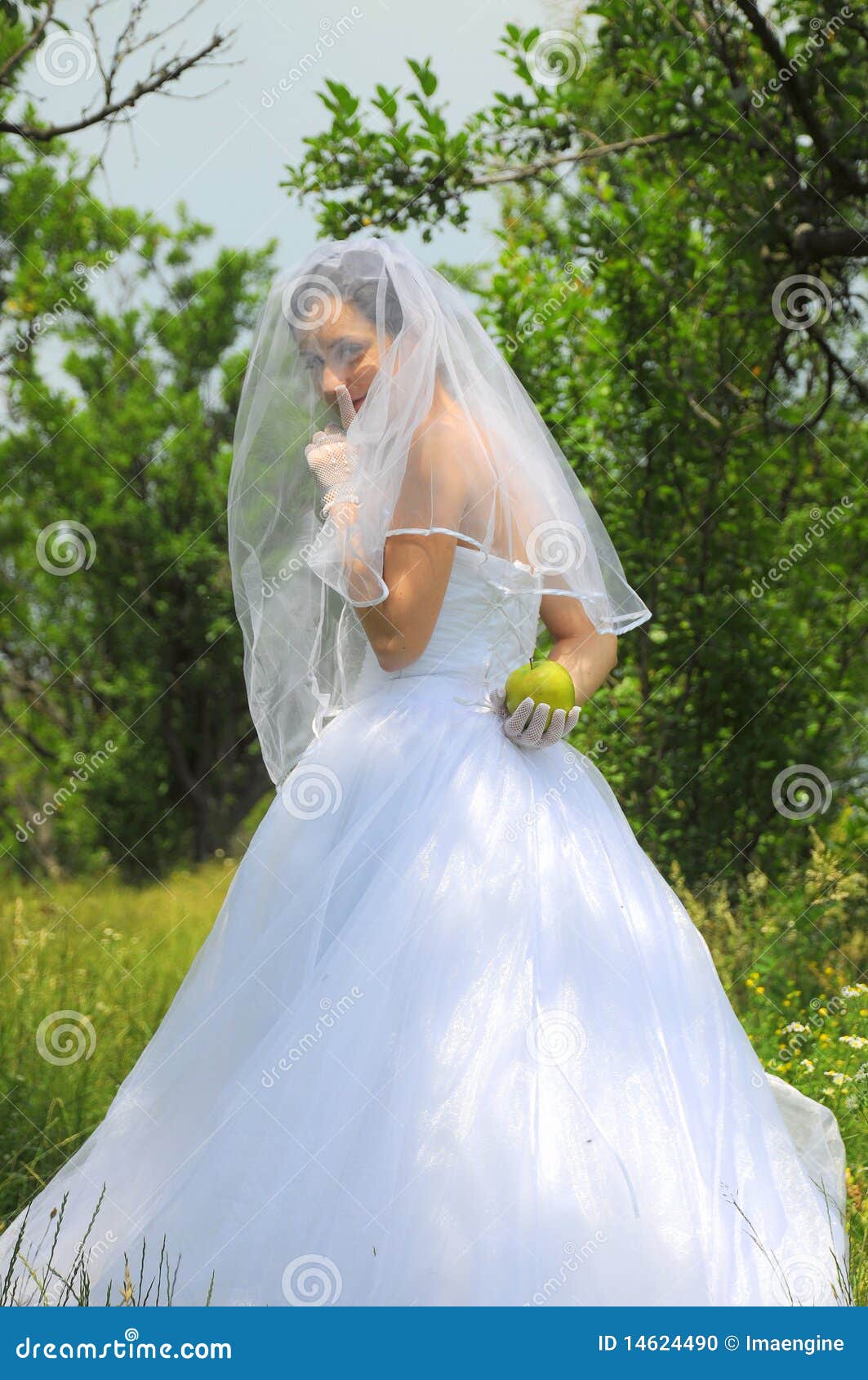 Eves Secret (bride Portrait) Stock Photo - Image of forbidden ...