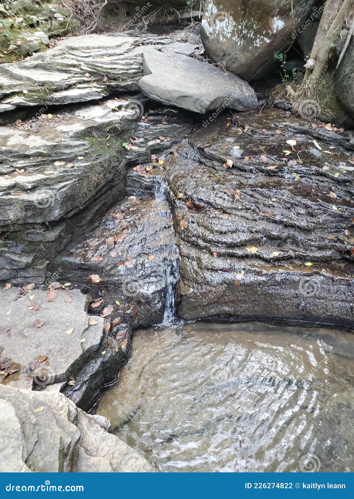 Even the Smallest Stream Becomes a River Stock Photo - Image of ...