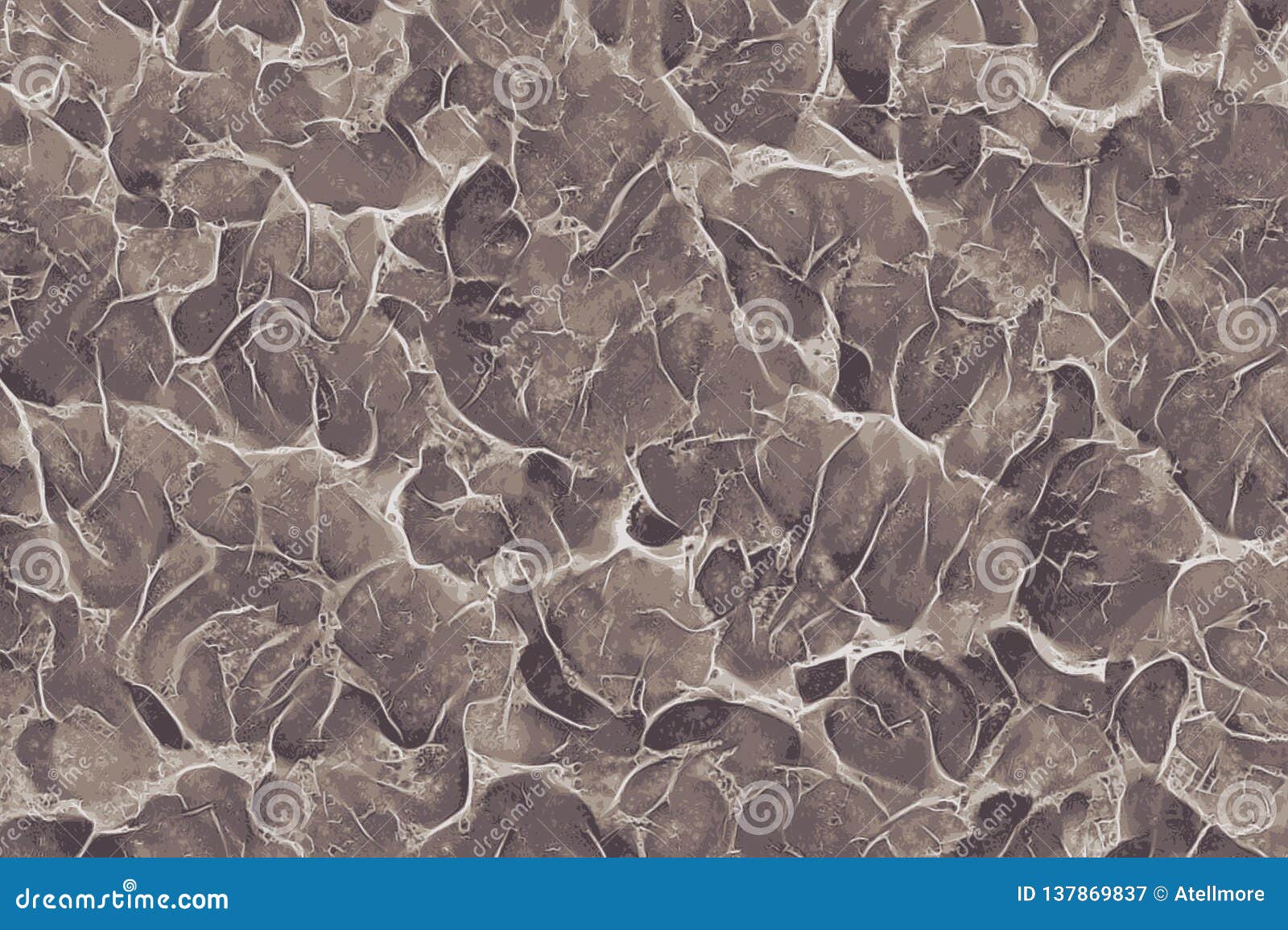 Even Texture of an Animal Shell, Close Up View Stock Image - Image of ...