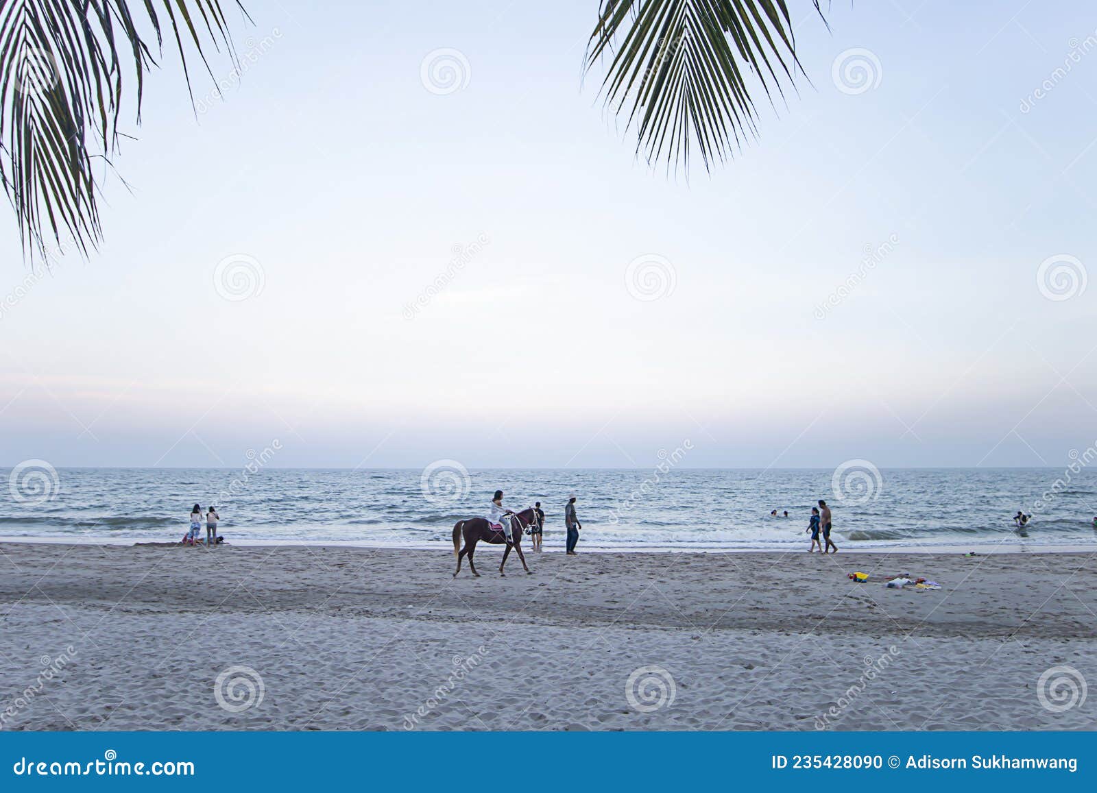 Evening Activities on the Beach Stock Photo - Image of outdoors, group ...